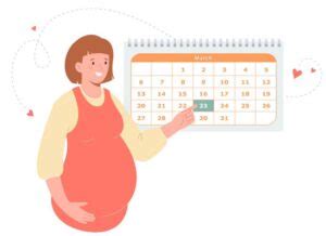 Calcula Tus Semanas De Embarazo Y Fecha De Parto Todo Calculadoras