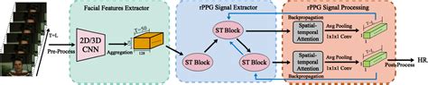 Figure 1 From Robust Heart Rate Estimation With Spatialtemporal