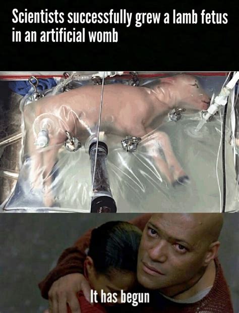 Only Matter Of Time Album On Imgur