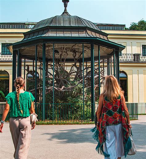 Tiergarten Schönbrunn Tickets And Besuchsinfos
