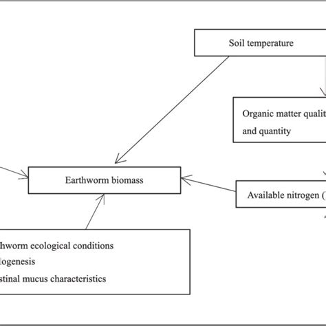 Factors That Determine Earthworm Biomass Huerta 2002 Download