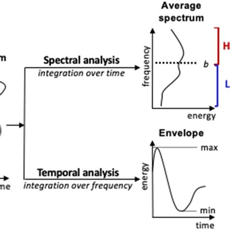 Schematic Representation Of The Phenomenological Model Used For
