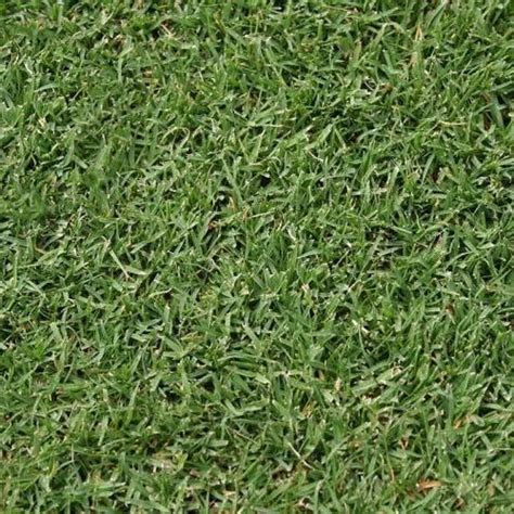 Turf In Gatton Joes Turf