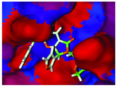 Hydrophobicity Surfaces For 8c Red And Blue Surfaces Represent The