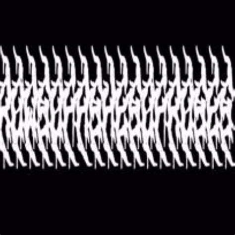 Rows Of Ashes Of Roses Rowsofashesofroses Lyrics And Tracklist Genius