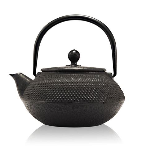 Best Japanese Cast Iron Teapot At Robert Dow Blog