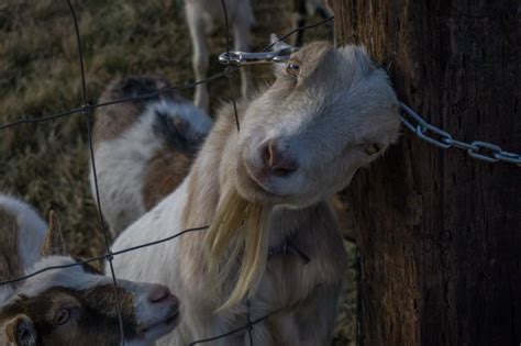 David Mcelligott On Linkedin Push Yourself Out Of Your Boundaries A Lot Of Times We Limit