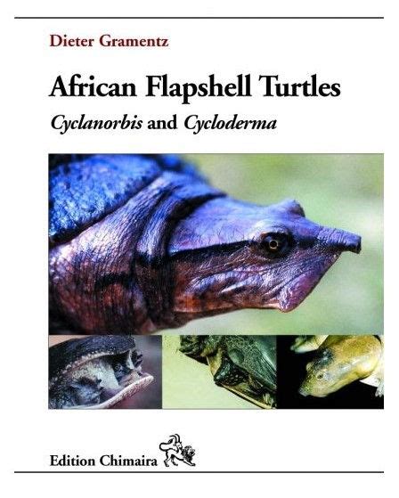 African Flapshell Turtles Cyclanorbis And Cycloderma Natureforyou