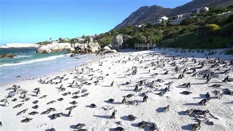 역대급 풍어에 조업 중단🚨 경력 40년 베테랑 선장님도 평생 처음 본다는 그물 상태｜어선 가득 채운 물고기 떼｜겨울 동해 바다 만선 고등어잡이｜한국기행｜골라듄다큐