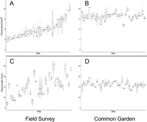 Phenotypic Variation For Plants In The Field And Grown In A Common