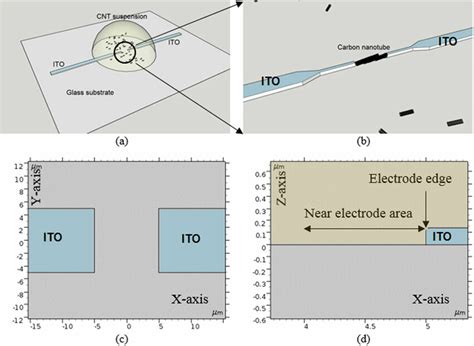 A Diagram Of The Simulated Dep System B Enlarged Image