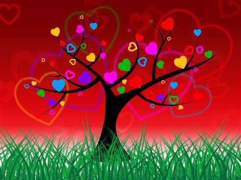 Free Photo Tree Branch Lying On Grass Branch Grass Green Free