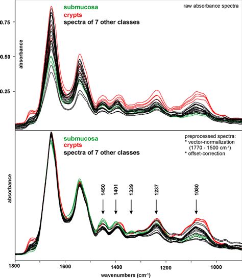 example of spectral preprocessing for classifcation analysis of tissue