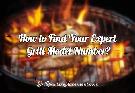 Grill Parts At Leonard Gagliano Blog