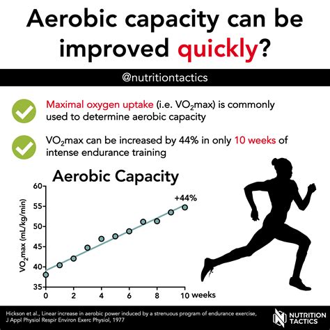 Understanding Vo2 Max And Improving Aerobic Capacity - vrogue.co