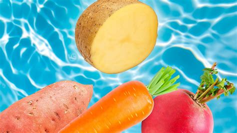 Are Root Vegetables Toxic At Odessa Francis Blog