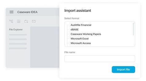 idea for external audit caseware