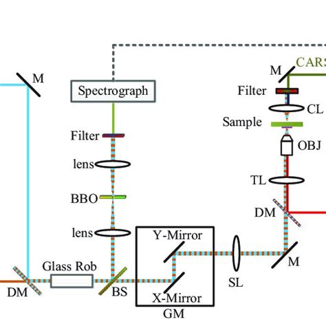 Multimodal Nonlinear Optical Imaging Of Vessel Structure A Cars Download Scientific Diagram