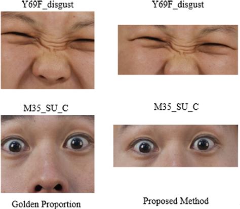 Figure 5 From A Robust Psychologically Oriented Emotion Recognition Method Using Transfer