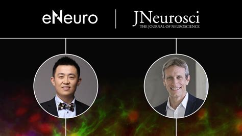 Total Sleep Deprivation Increases Brain Age Prediction Reversibly In