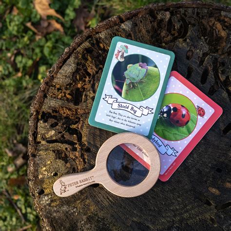 Peter Rabbit Bug Spotter Activity Set Nature Discovery Kit Robert