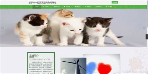 基于python flask框架的流浪猫狗救助网站（开题 程序 论文） 计算机毕设 我想写一个网站用于救助 csdn博客