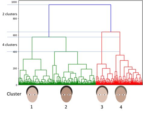 Seasonal Color Analysis Emma Watson At Arthur Mcgee Blog