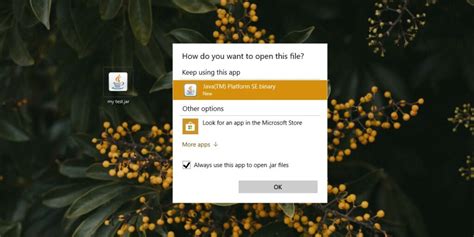 How To Open Jar Files On Windows 10 TUTORIAL