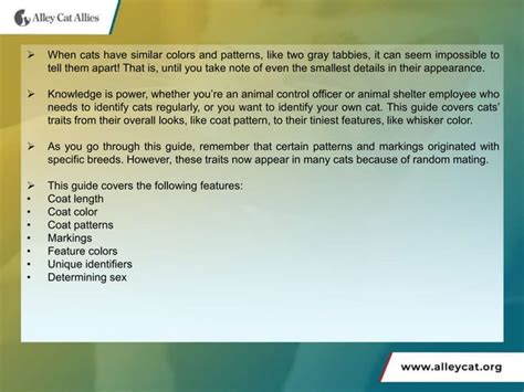Cat Identification Guide Pptx Cats Pets