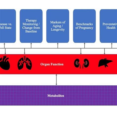 Distribution Of Target Peptide Spectrum Matches Psms And Decoy Psms