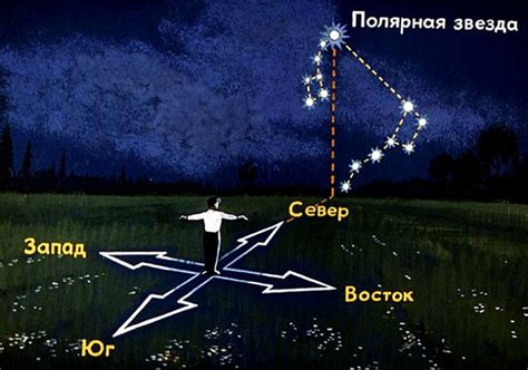 Полярная звезда