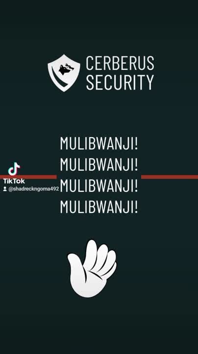 Shadreck Ngoma Posted On Linkedin