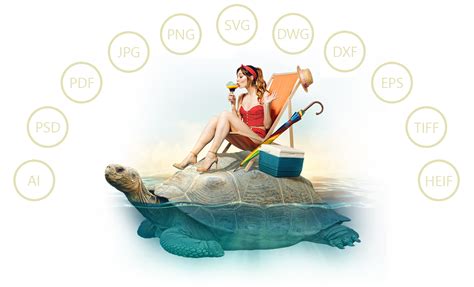 Сколько стоит coreldraw 2020