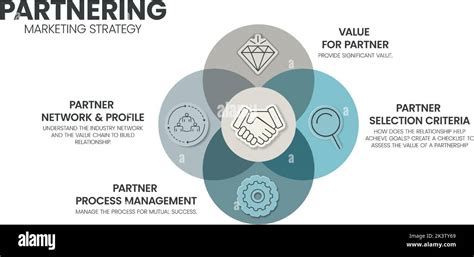 Partnering Analysis Infographic Template Has 4 Steps To Analyze Such As Partner Network And