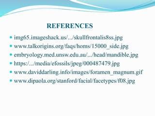 Sex Determination From Skull Remains PPT Bone And Joint Conditions Diseases And Conditions