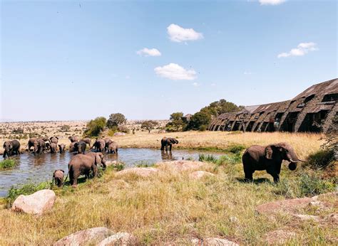 Atta Four Seasons Safari Lodge Serengeti