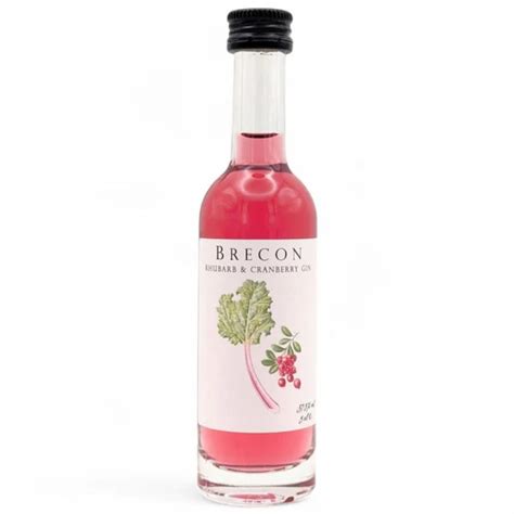 Penderyn 5cl Brecon Rhubarb And Cranberry Gin Old Railway Line Garden