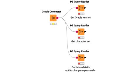 Check Oracle Information Version Character Encoding Etc Knime Community Hub