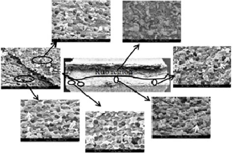 Map Of Overall Crack Propagation Direction Download Scientific Diagram