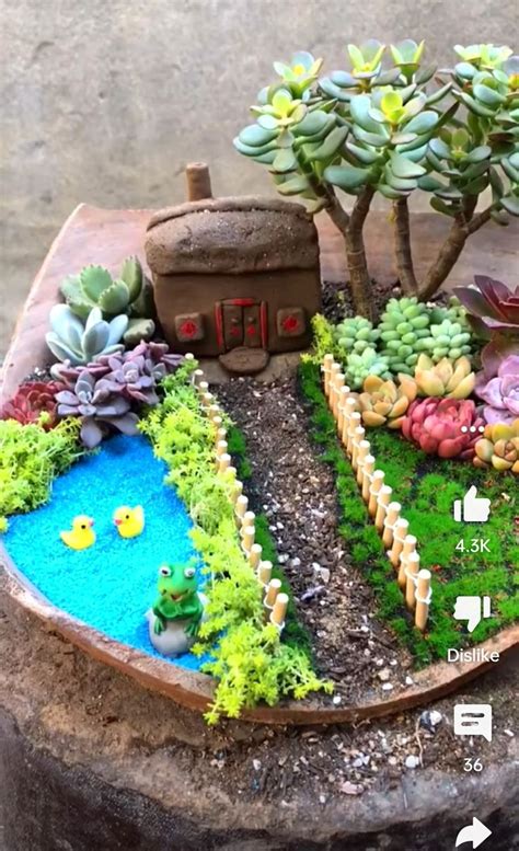 Pin By Maria Lucia On Mini Jardins Lindos Miniature Fairy Garden Diy Succulent Garden Diy