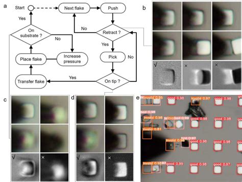 Schematic Of A Typical Ssl Flake Transfer And Examples For Several Key Download Scientific