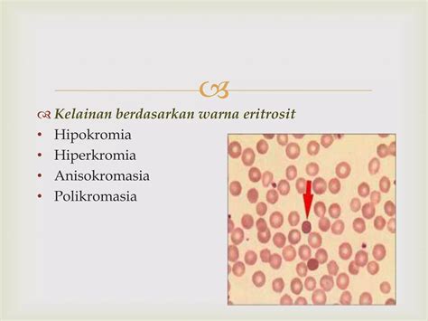 Eritrosit Sel Darah Merah Pptx