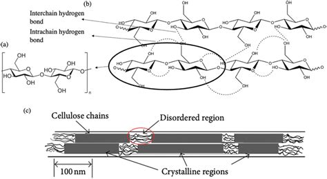 A Cellulose Structure Reproduced With Permission ²⁷⁷ Copyright