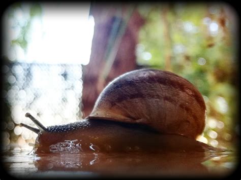 Cam Album On Imgur Cam Album On Imgur