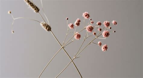 Socio Spatial Theory → Term