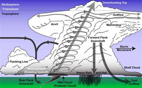 Wx4cast Types Of Thunderstorms And Severe Weather