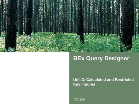 ppt bex query designer powerpoint presentation free download id 923125