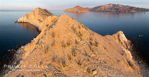 Isla Angel De La Guarda At Sunset Baja California Mexico 40336