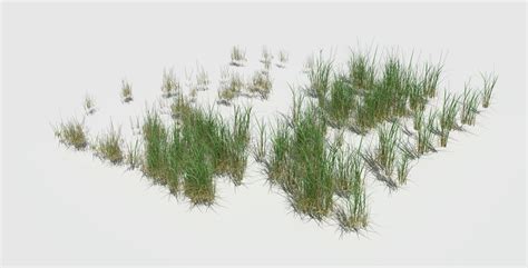 Grass Leaf Starwort Meadow 3d Model Patch