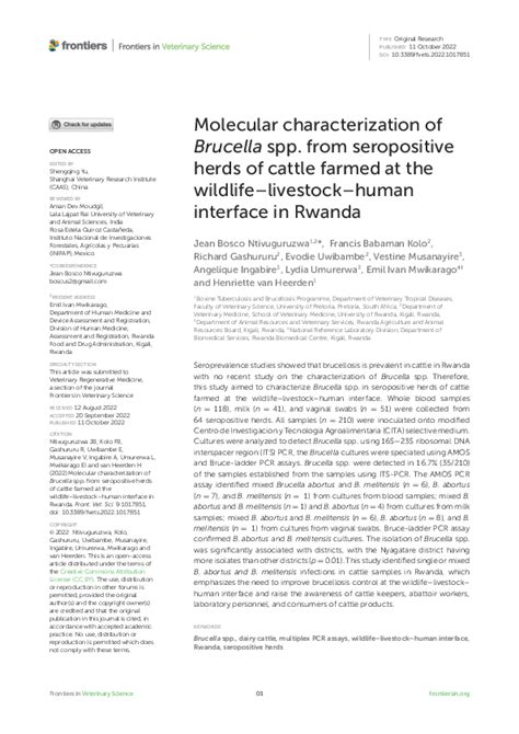 Pdf Molecular Characterization Of Brucella Spp From Seropositive Herds Of Cattle Farmed At
